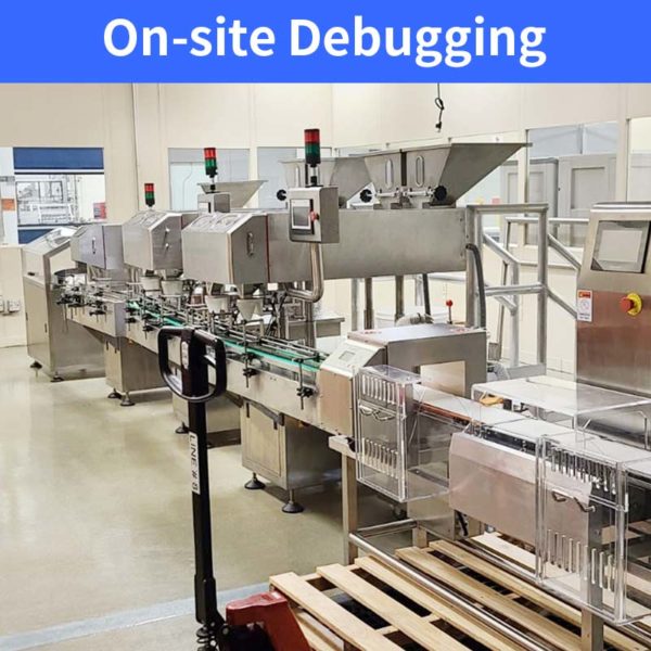 16 Lane High Speed Counting Machine - Ruida